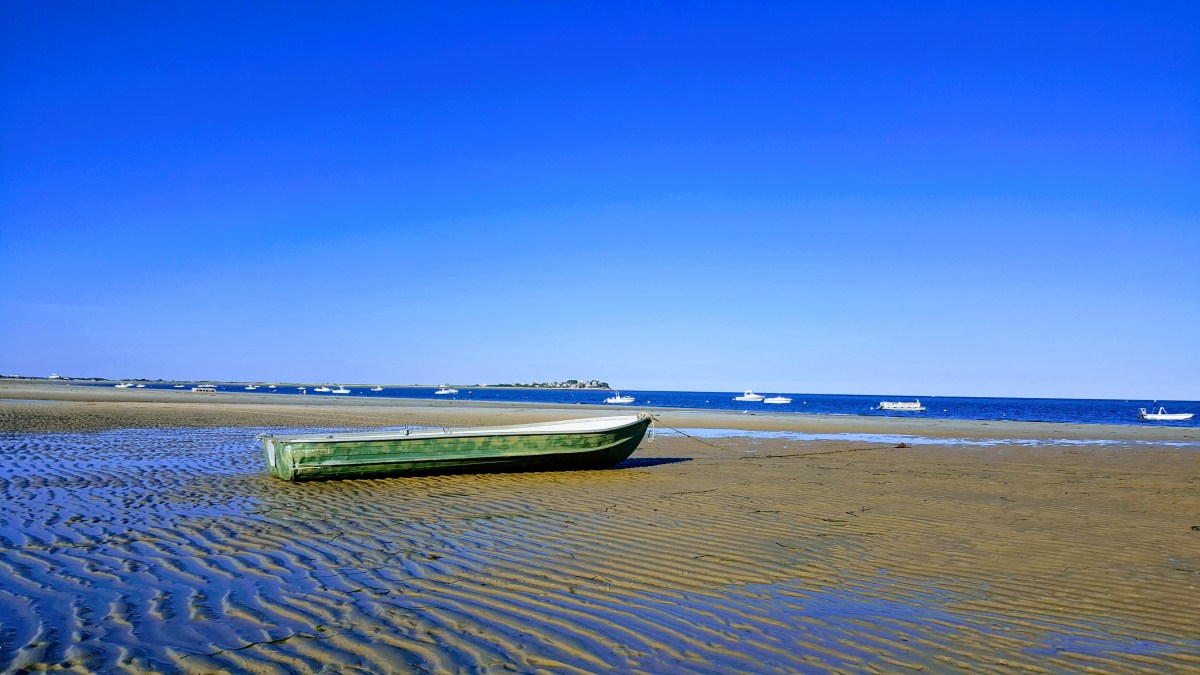 Board Members – Saquish Beach Land Trust